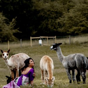 Experience tickets – London Alpacas